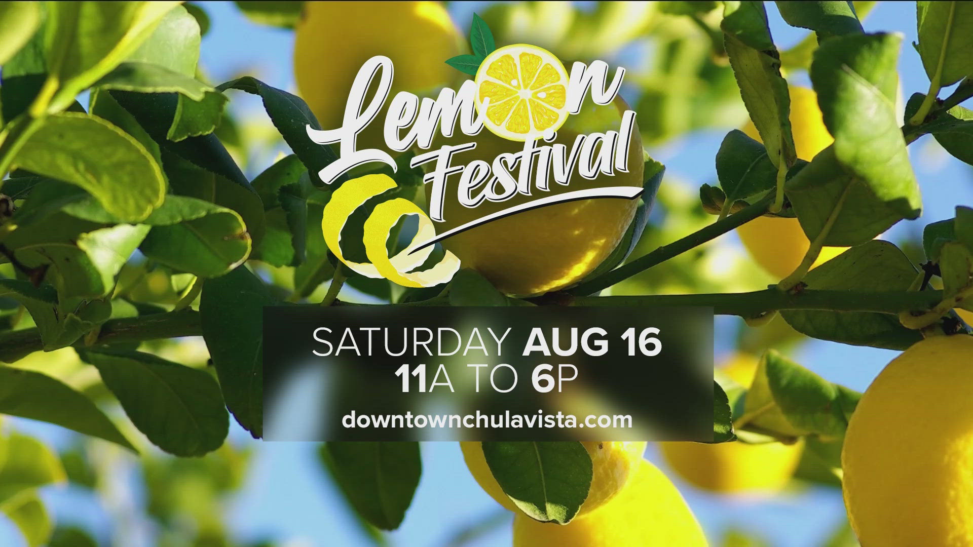 What to know about the 28th Annual Chula Vista Lemon Festival | cbs8.com