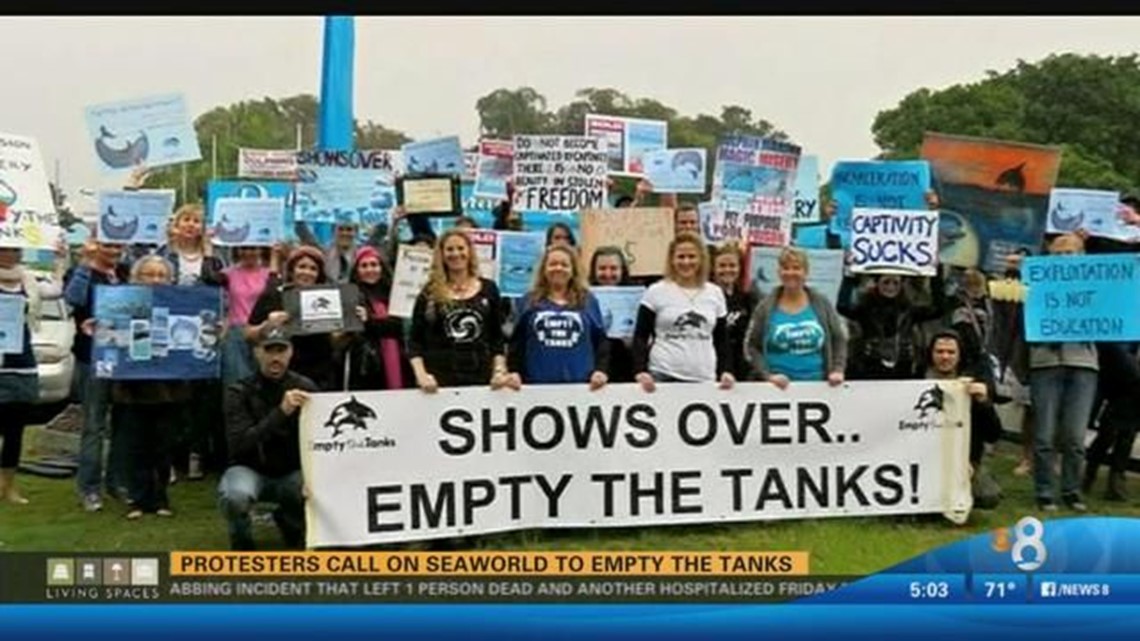 Protesters call on SeaWorld to empty the tanks | cbs8.com