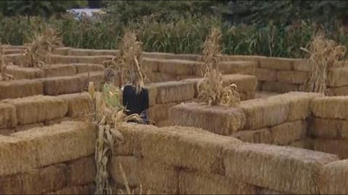 Celebrate 50 years of fall tradition at Bates Nut Farm | cbs8.com