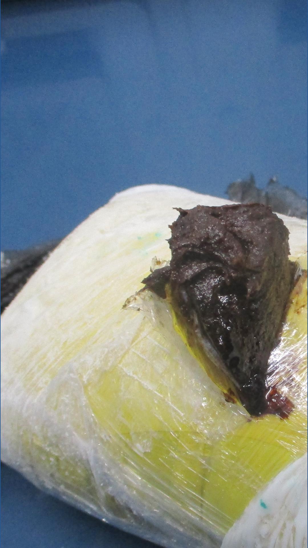 CBP officials uncover record-breaking heroin valued at $13M at US ...
