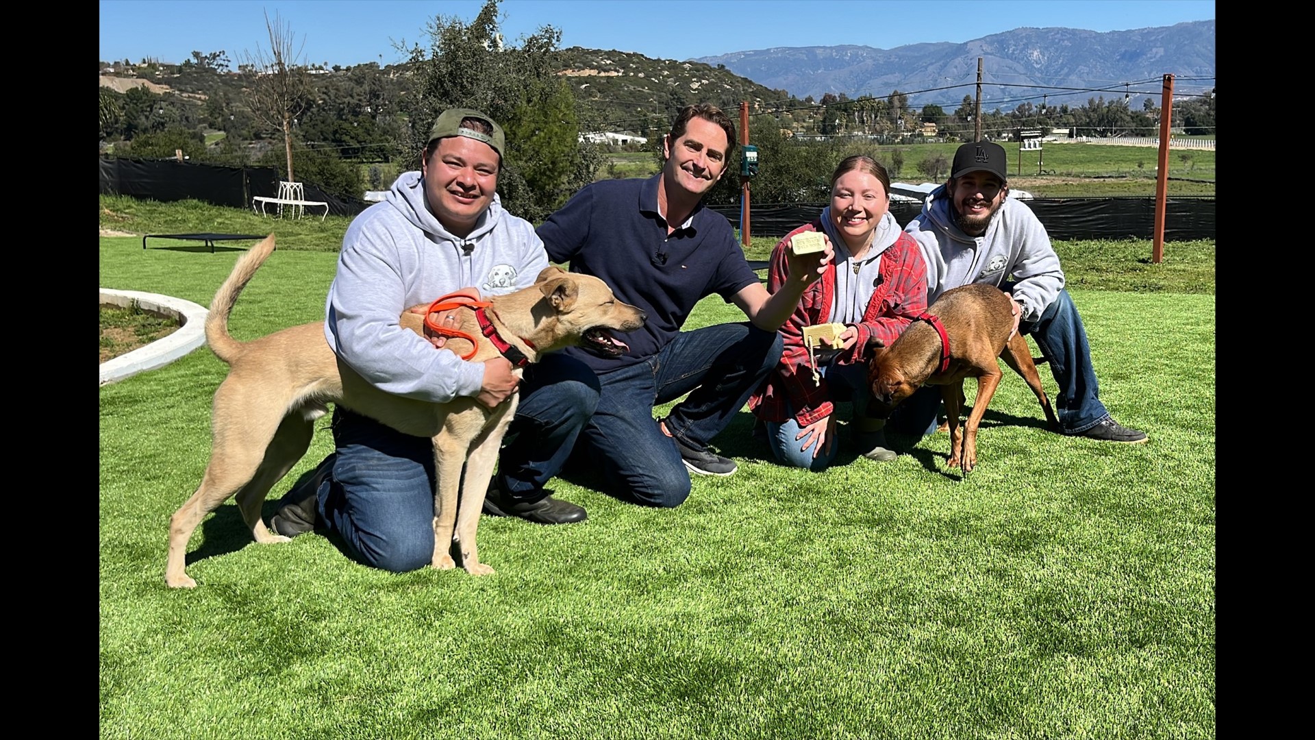 Dank Dogs Ranch and Rescue in Valley Center | cbs8.com