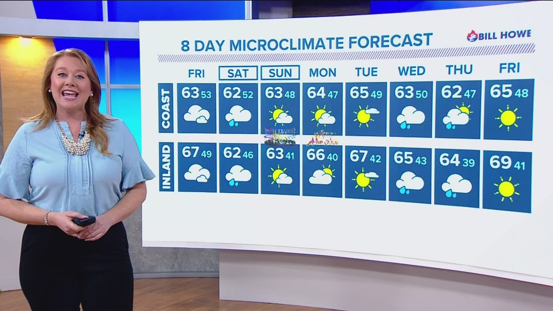 Friday brings wet weather over the New Year weekend as high surf ...