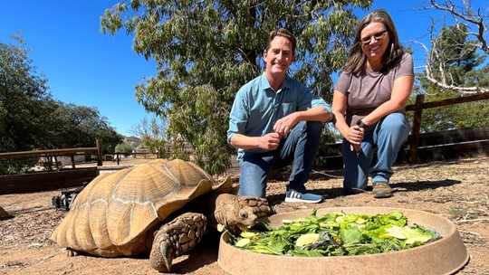 Alpine 'Organic Garden' fights inflation feeding rescued animals | cbs8.com