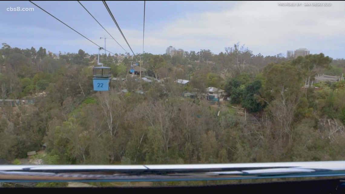 4 arrested after SD Zoo Skyfari gondola ride gets stuck after vandalism ...
