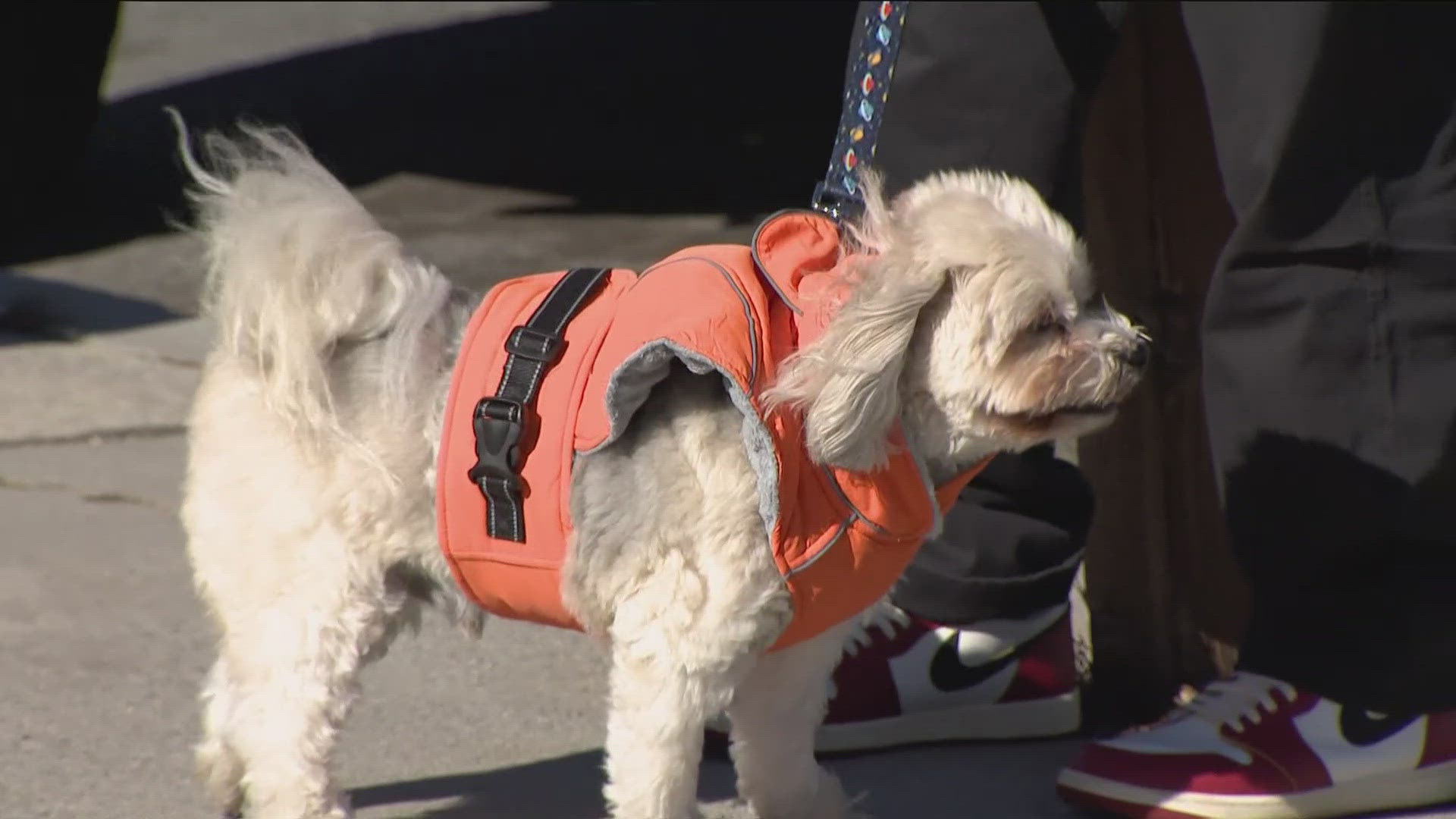 Helen of Troy: Fiscal Q3 Earnings Snapshot | cbs8.com