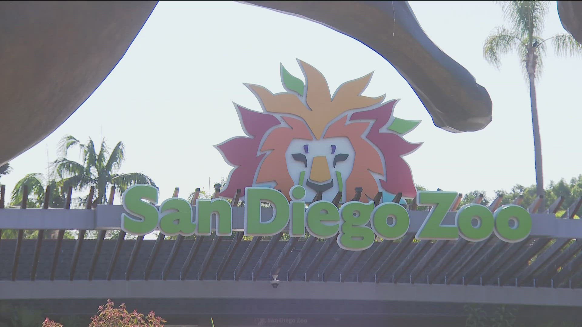 San Diego City Council to consider San Diego Zoo parking fees | cbs8.com