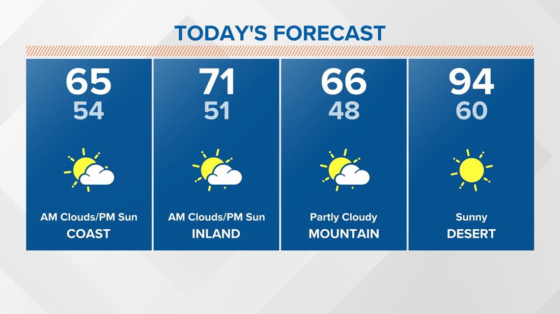 What are police bean bags and rubber bullets made of? | cbs8.com