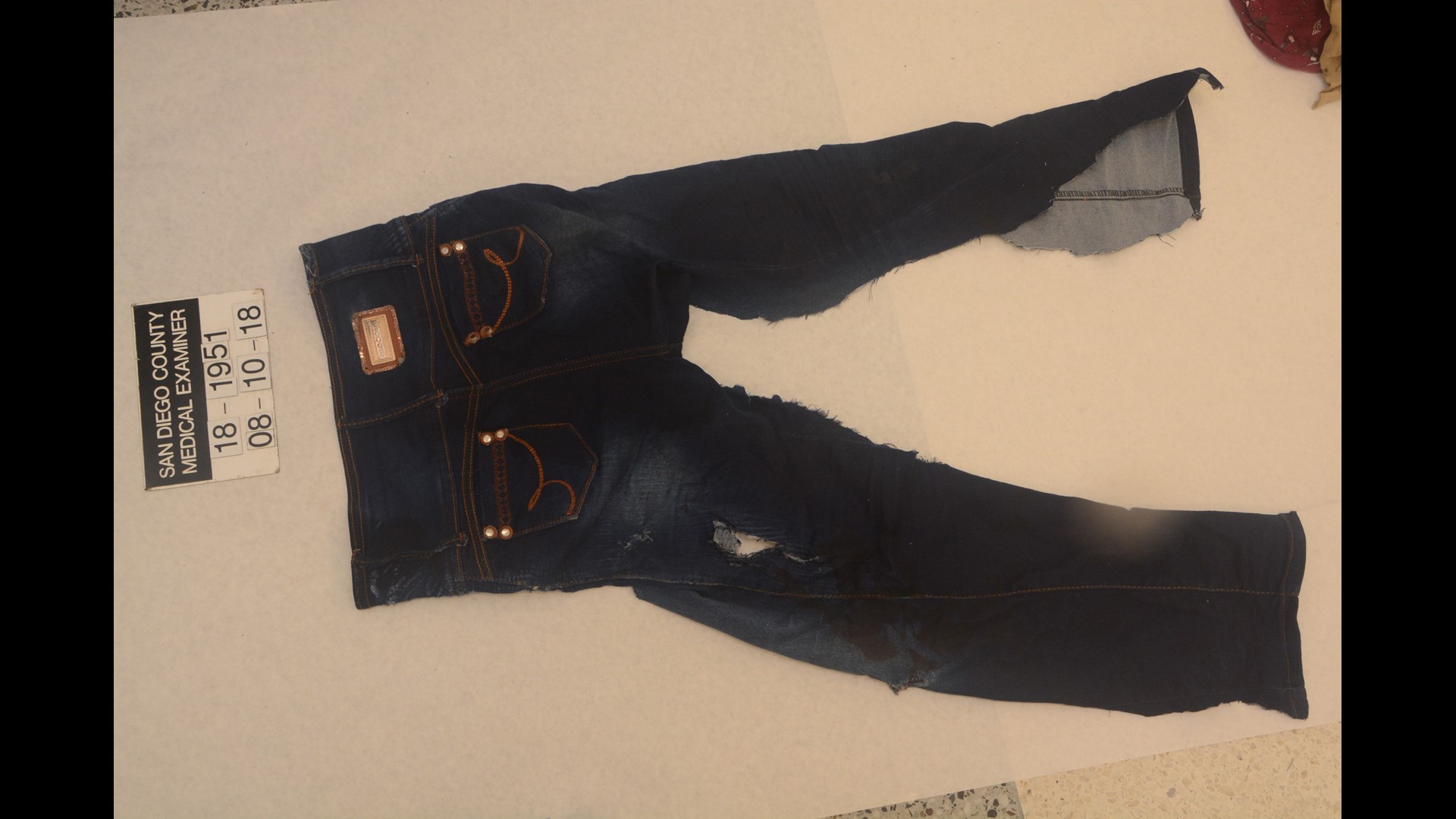 Unidentified body of teen Hispanic girl died la jolla jane doe | cbs8.com