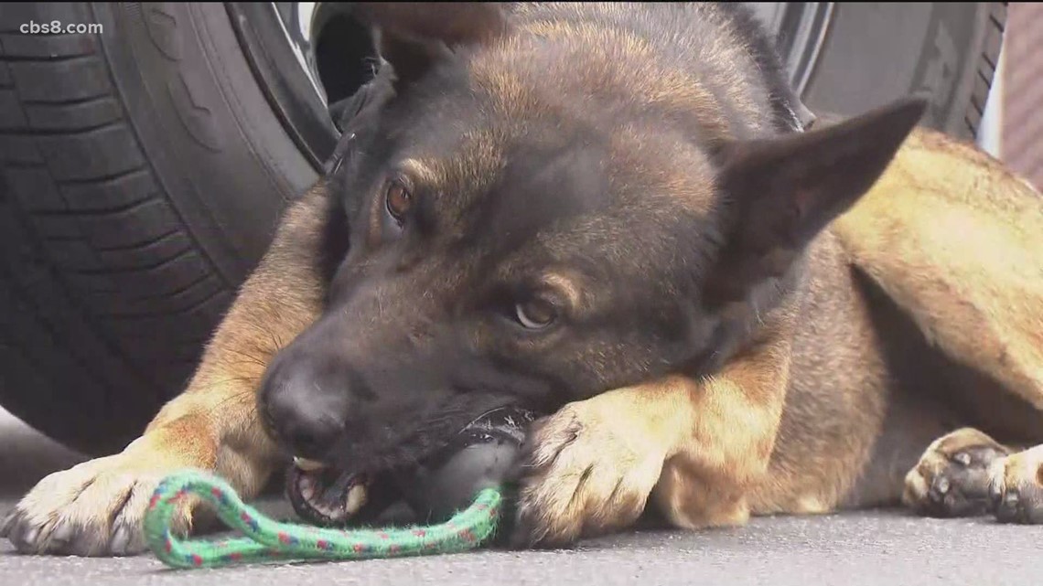 Upgraded facility for San Diego Harbor Police K-9 unit | cbs8.com