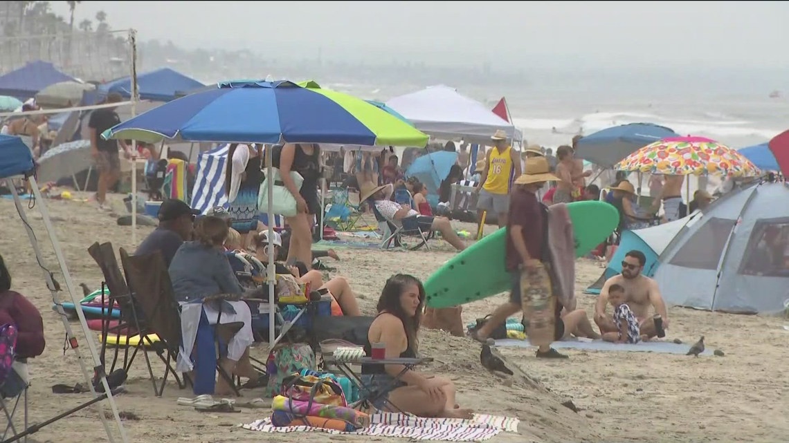 The murder of Stephanie Crowe: a brutal crime and false confessions ...