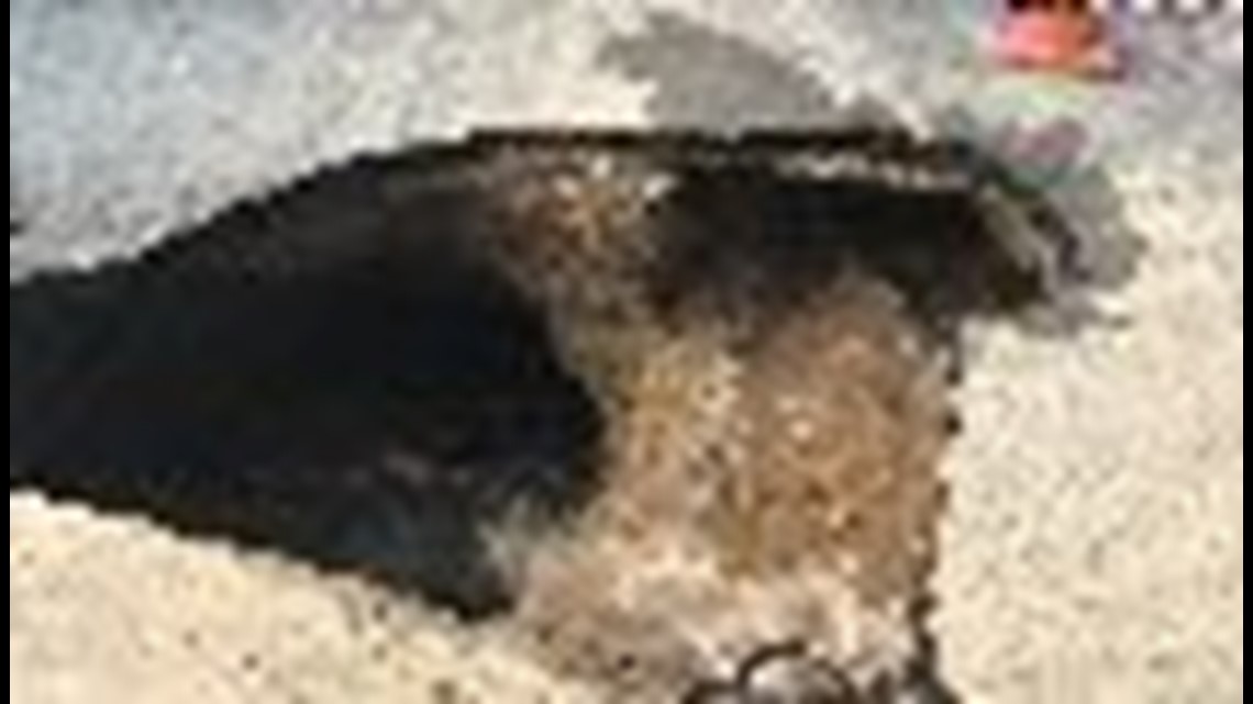 Sinkhole causes traffic to be rerouted on Southbound Escala Drive in ...