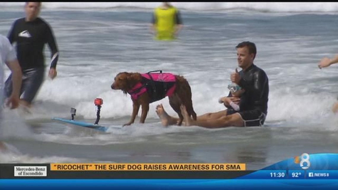 "Ricochet" the surf dog raises awareness for SMA | cbs8.com