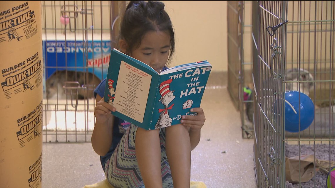 San Diego Library launches Winter Reading Challenge | cbs8.com