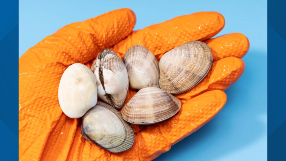 San Diego warns against eating local shellfish | cbs8.com