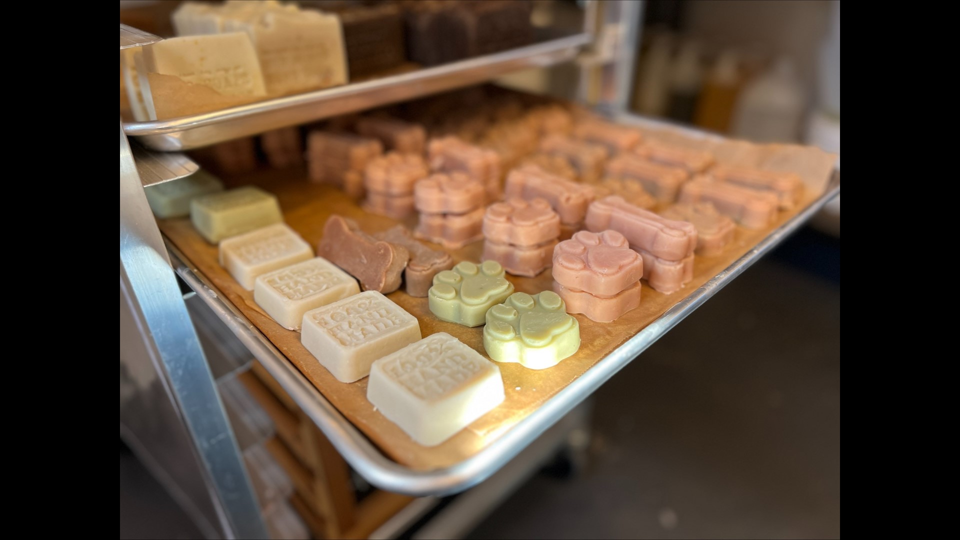 Dank Dogs Ranch and Rescue in Valley Center | cbs8.com