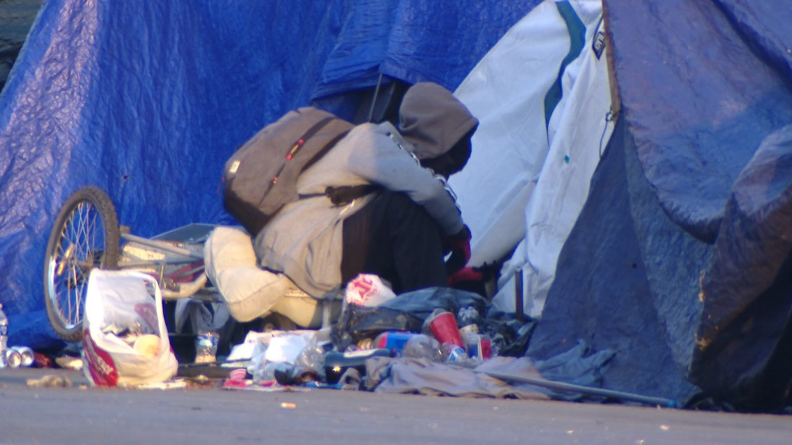 SD City Council propose homeless conservatorship task force | cbs8.com