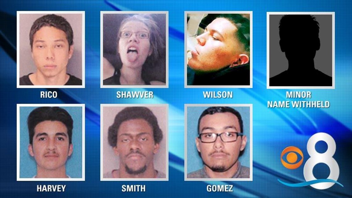 New details revealed about suspects in North County home invasion ...