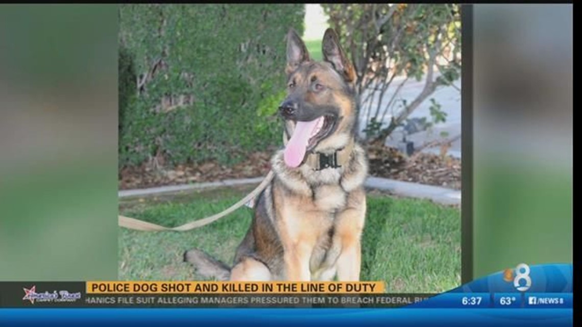 Riverside County police dog shot and killed in the line of duty | cbs8.com
