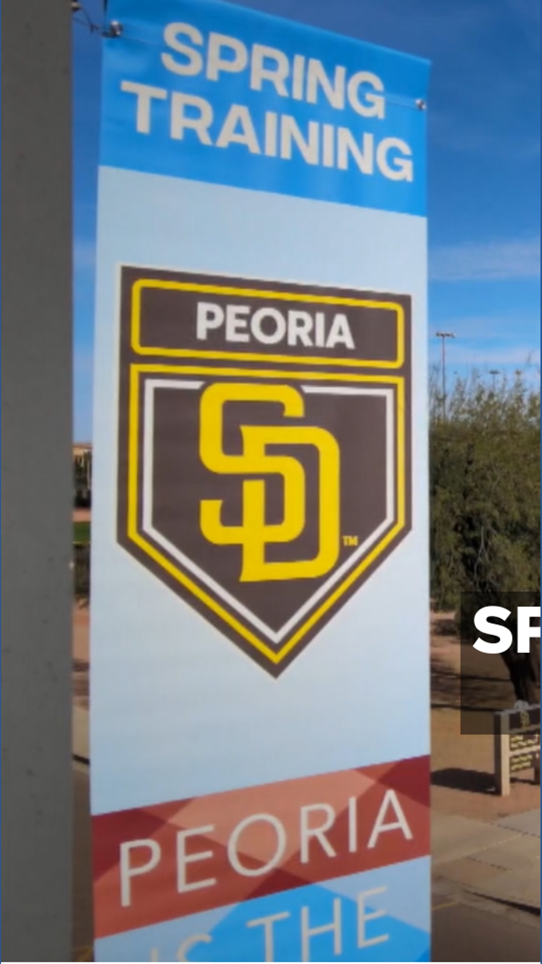 'Save This Life' pet microchip company shuts down | cbs8.com