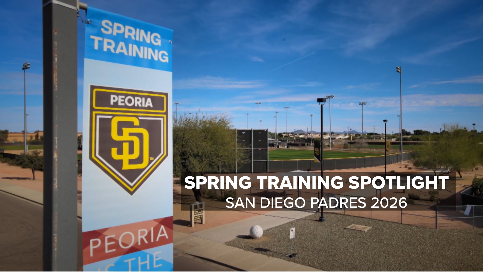 'Save This Life' pet microchip company shuts down | cbs8.com