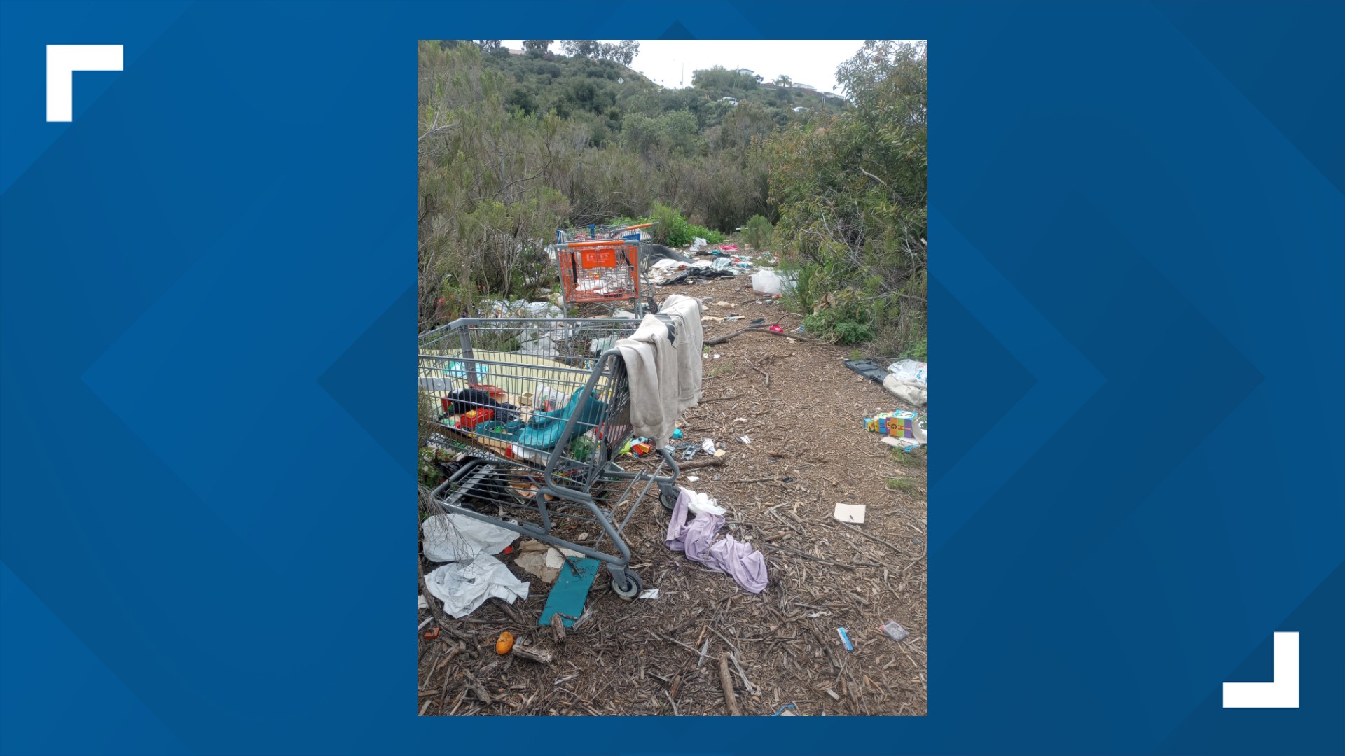 Duo teams up to beautify San Diego parks at their own expense | cbs8.com