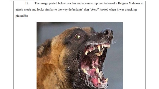 Woman attacked by police K9 in her yard to get $600,000 | cbs8.com