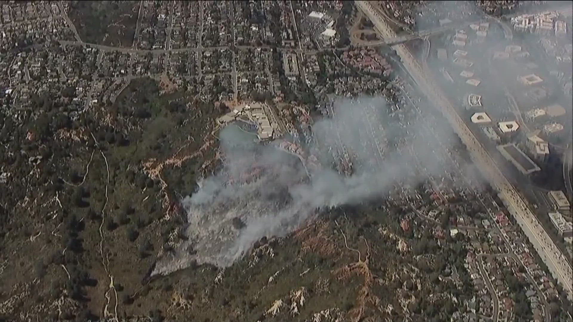 Firefighters stop forward progress of fire burning in Del Mar Heights ...