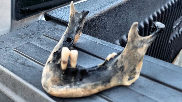 What are police bean bags and rubber bullets made of? | cbs8.com