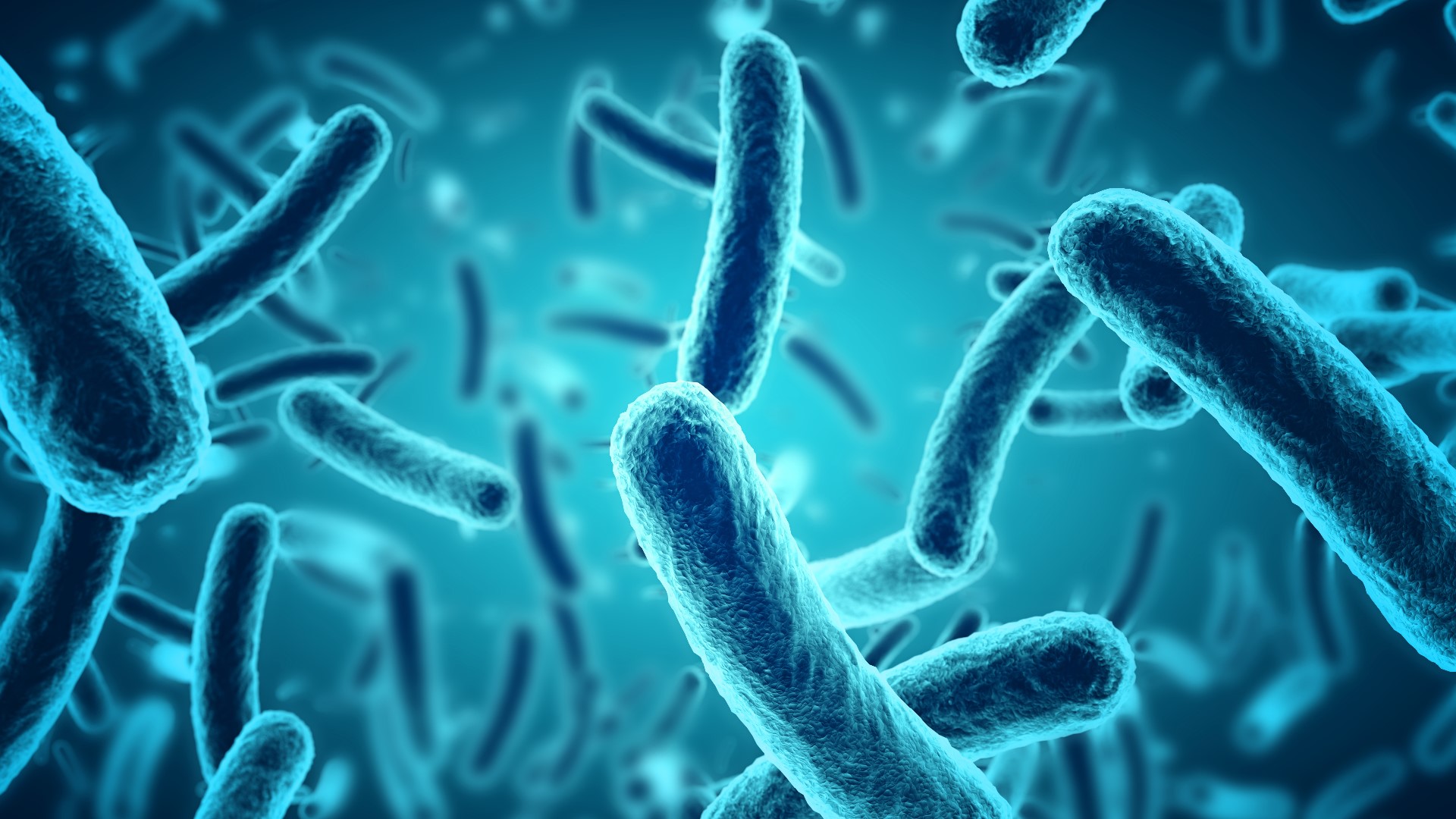 Clairemont restaurant salmonella outbreak | cbs8.com