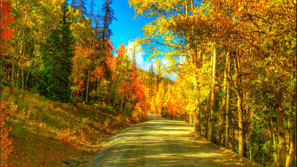 5 ways to follow proper leaf-peeping etiquette | cbs8.com