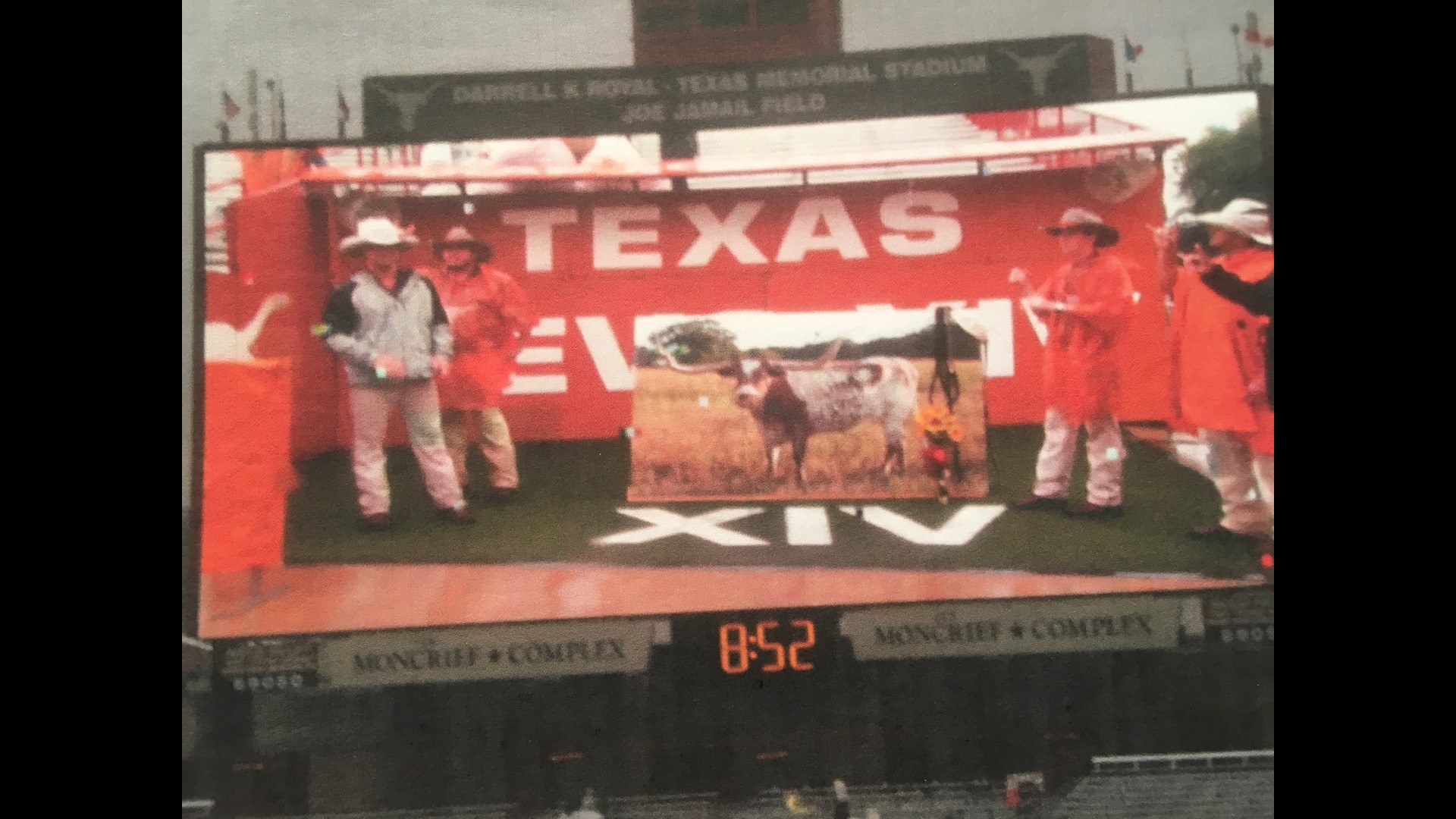 How an Austin-area family became the owners of UT mascot Bevo | cbs8.com