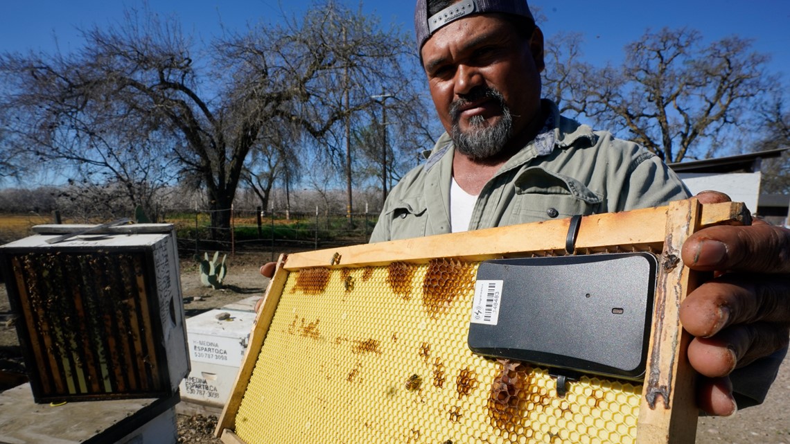Beekeepers turn to anti-theft tech as hive thefts rise | cbs8.com
