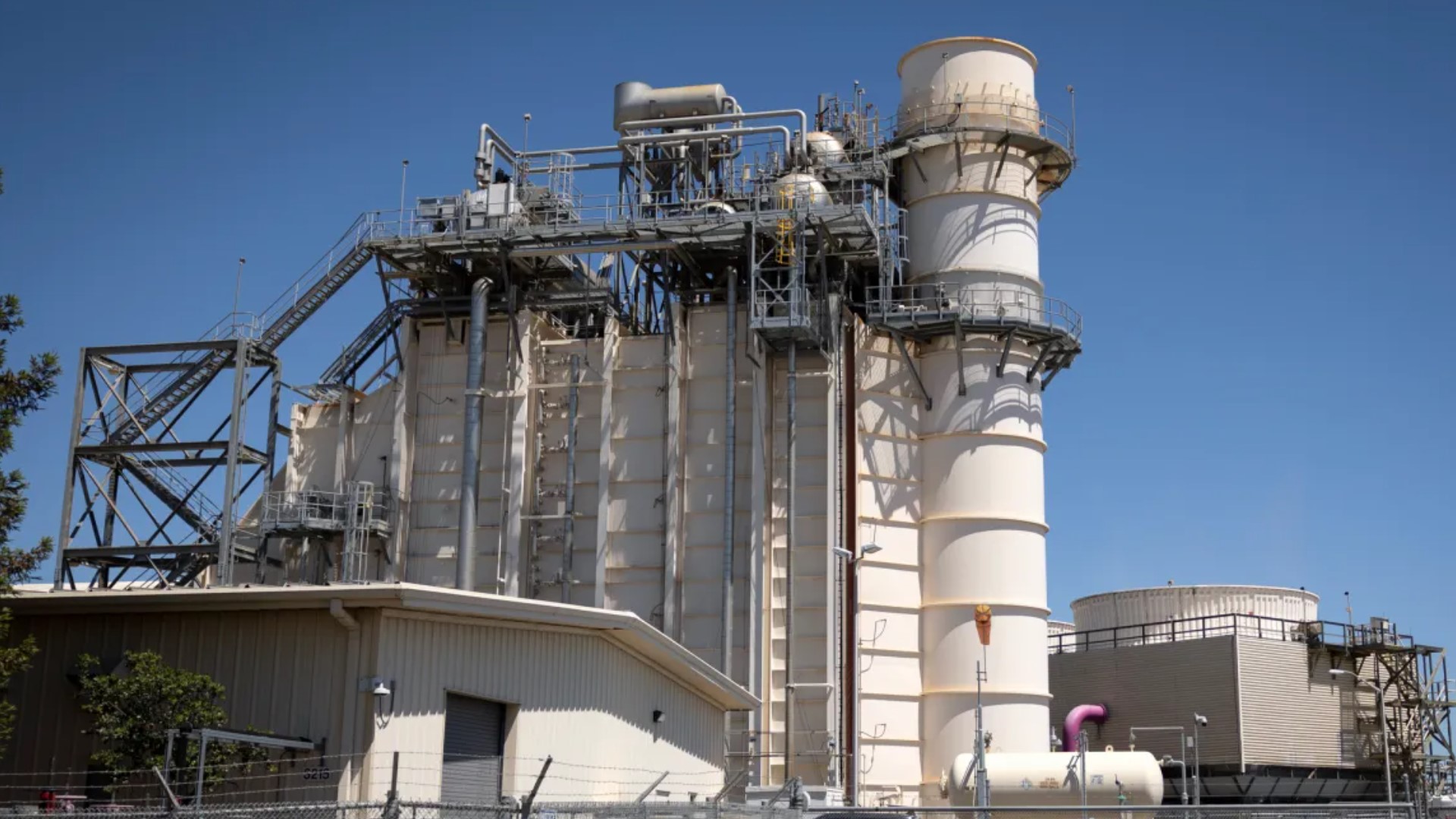 Neda Iranpour | cbs8.com