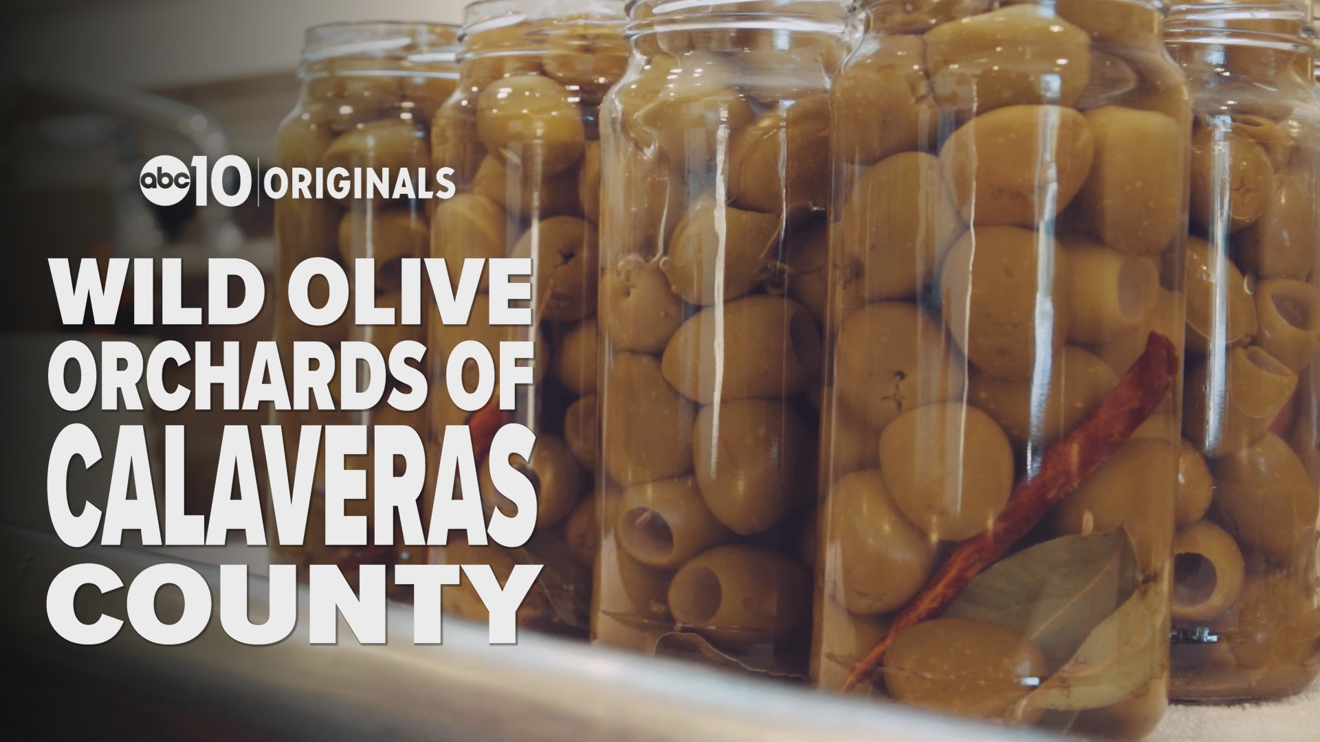 The forgotten olive trees of Calaveras County | Bartell's Backroads ...