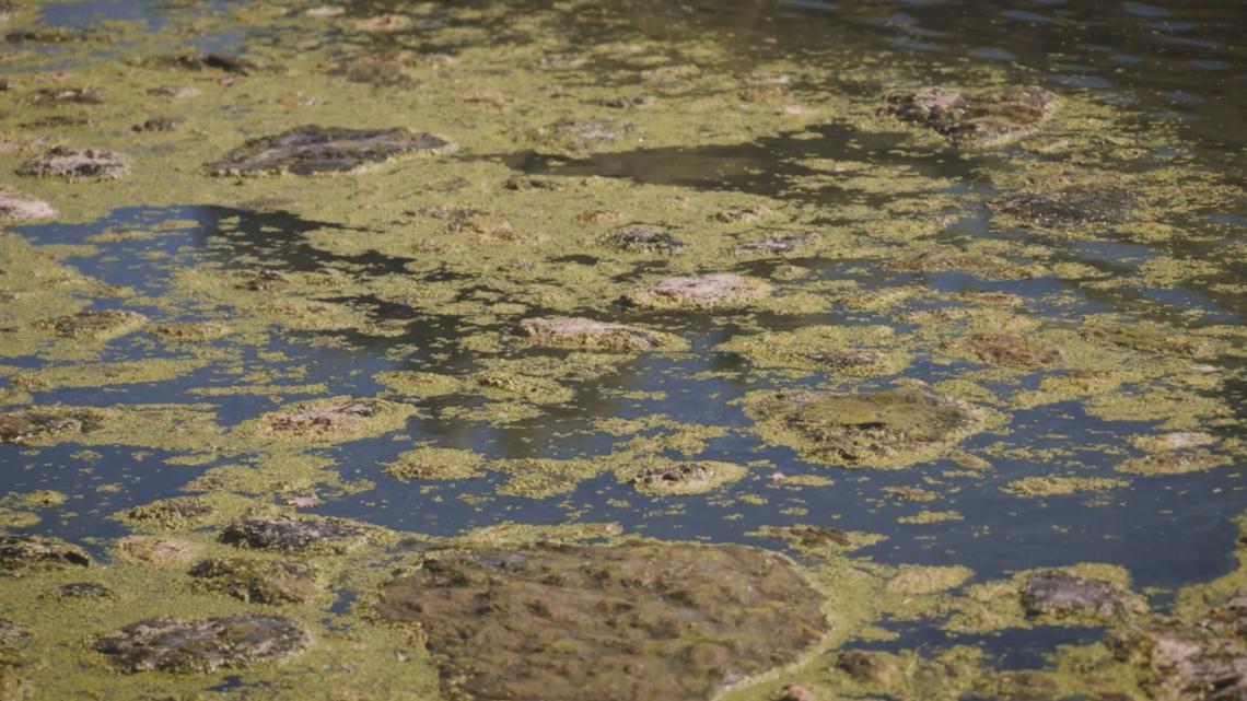 California's Dying Lakes: Warming temps and changing climate | cbs8.com