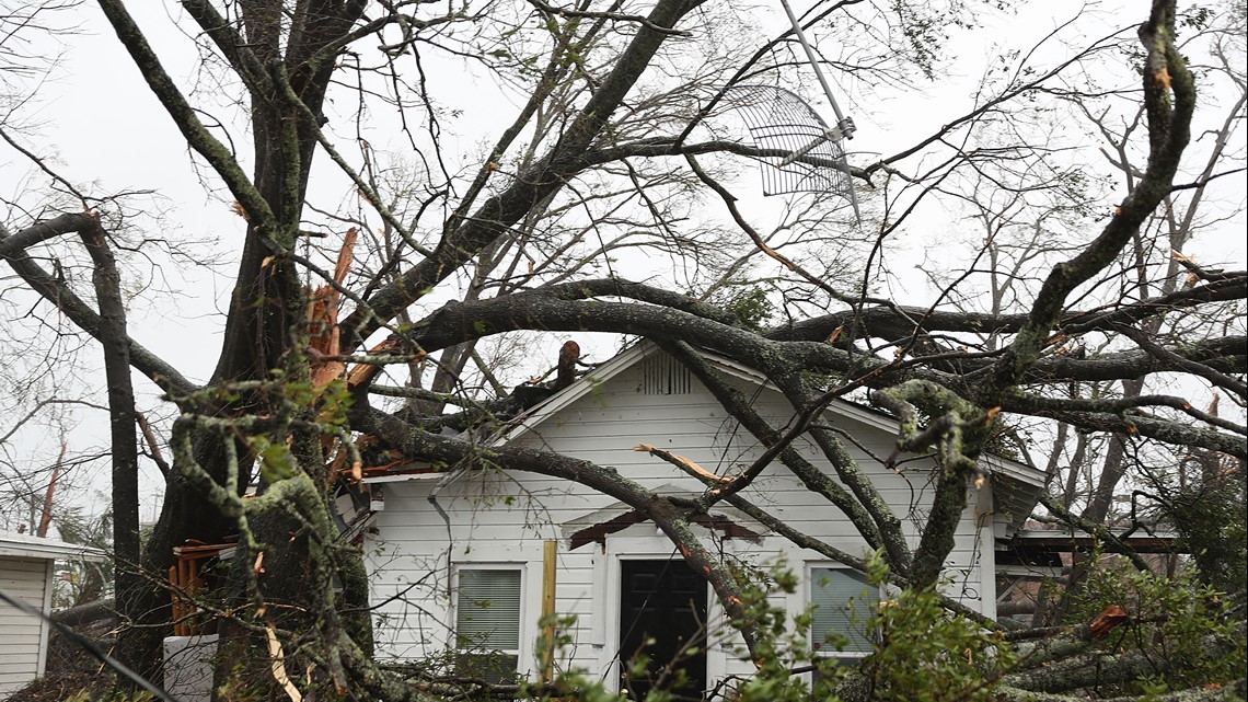 What to do if a tree falls on your home or car during a storm | cbs8.com