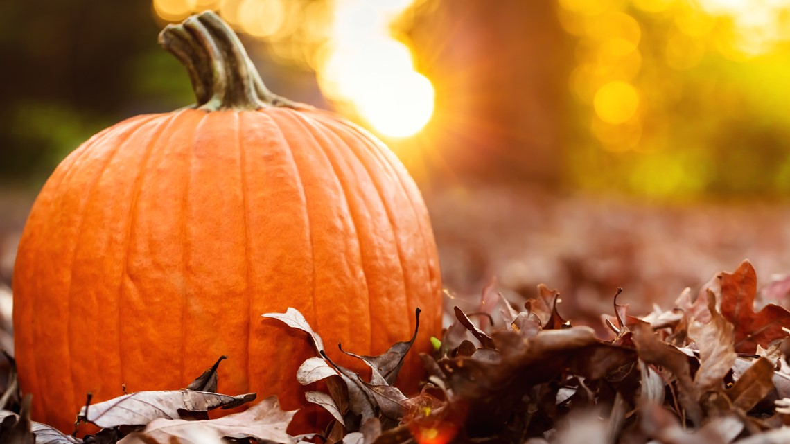 List of activities to do this fall in San Diego | cbs8.com