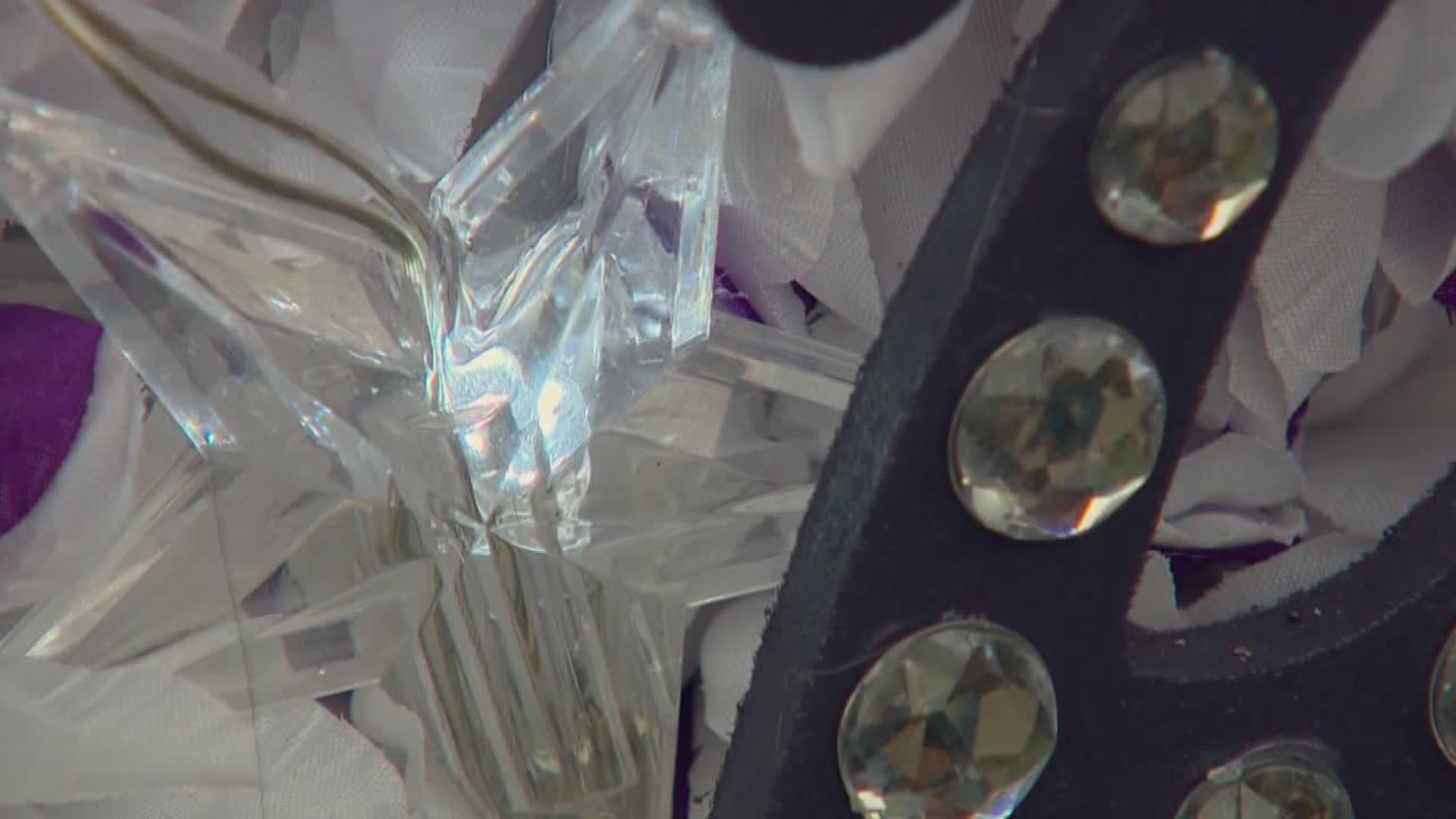 North Texas senior spends $600 on her Texas-sized mum | cbs8.com