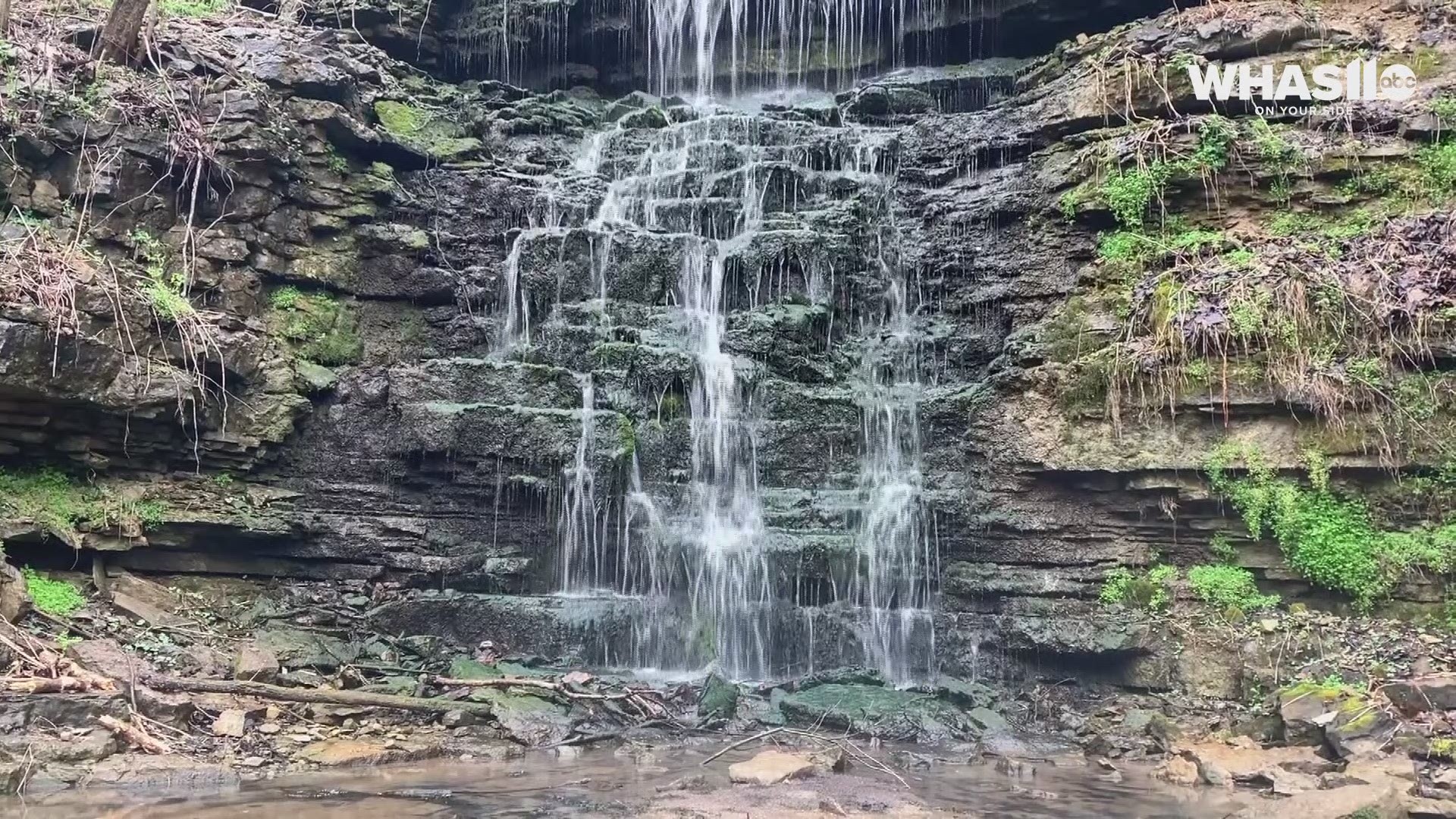 Nature Zen: Cove Spring Park in Frankfort, Ky. | cbs8.com