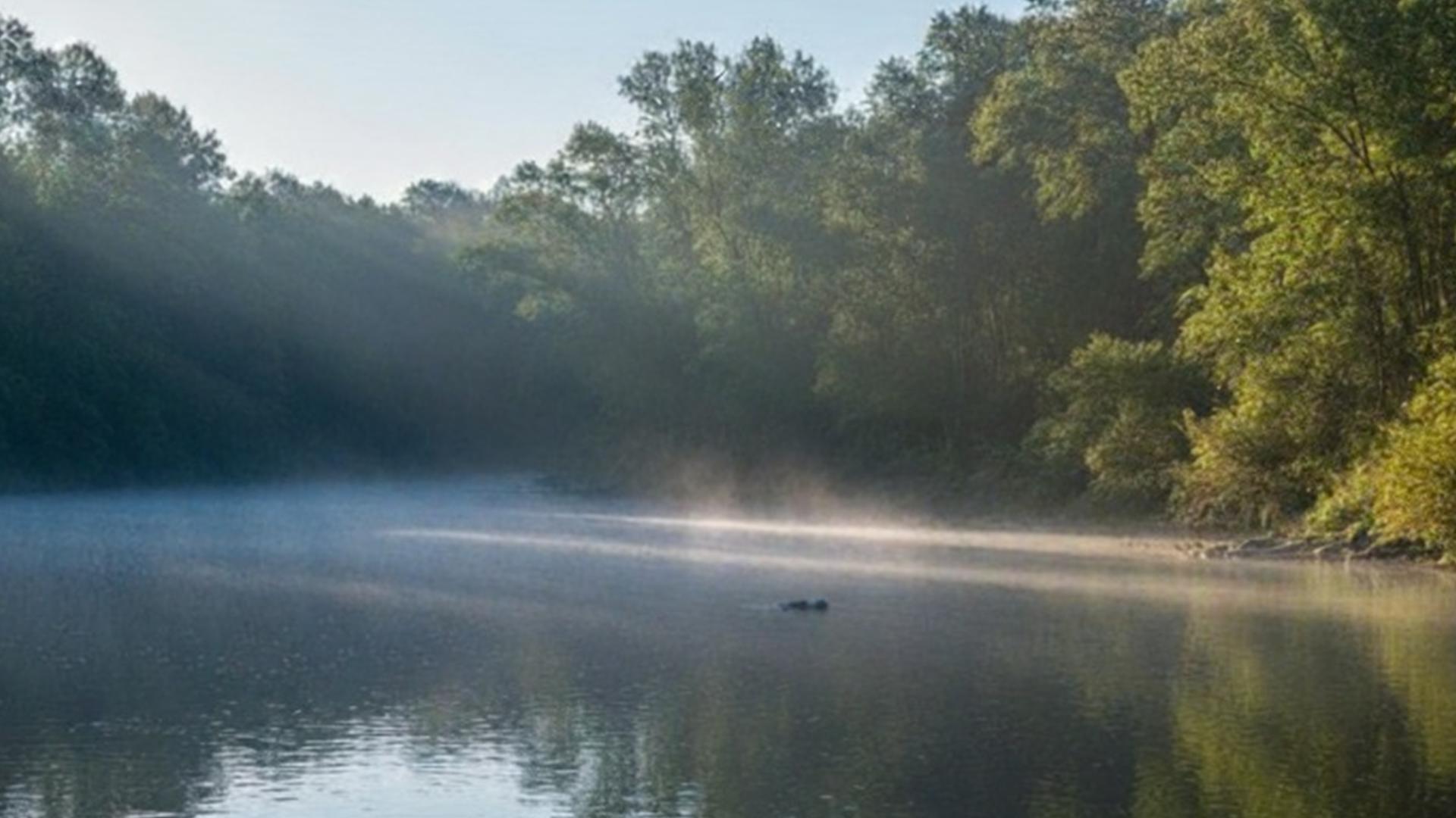 Human skull from 2300 B.C. found on Indiana riverbank | cbs8.com