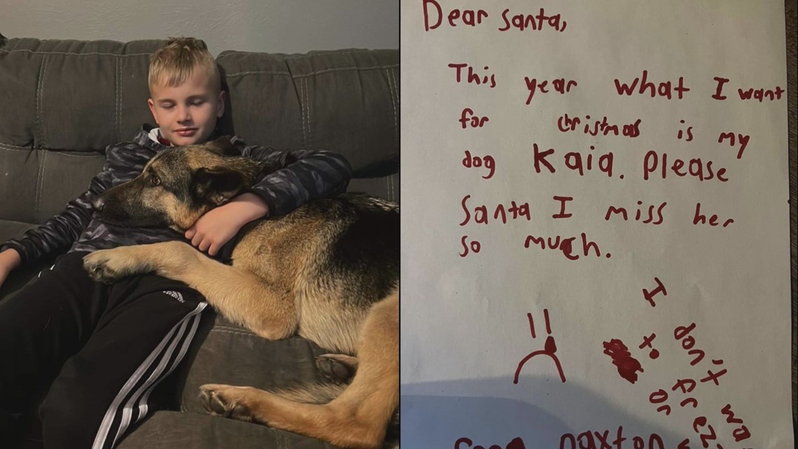 Dog returns home after being gone for 77 days | WTOL 11 | cbs8.com