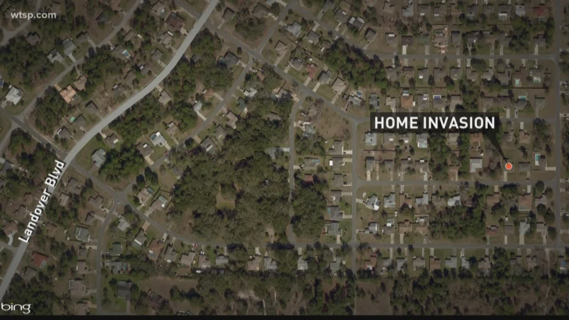 Man dies after being shot in Spring Hill home invasion, sheriff's ...